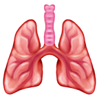Lista de emojis de Emojipedia: todos los emojis de Emojipedia ...