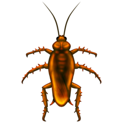 Cockroach Emoji 🪳
